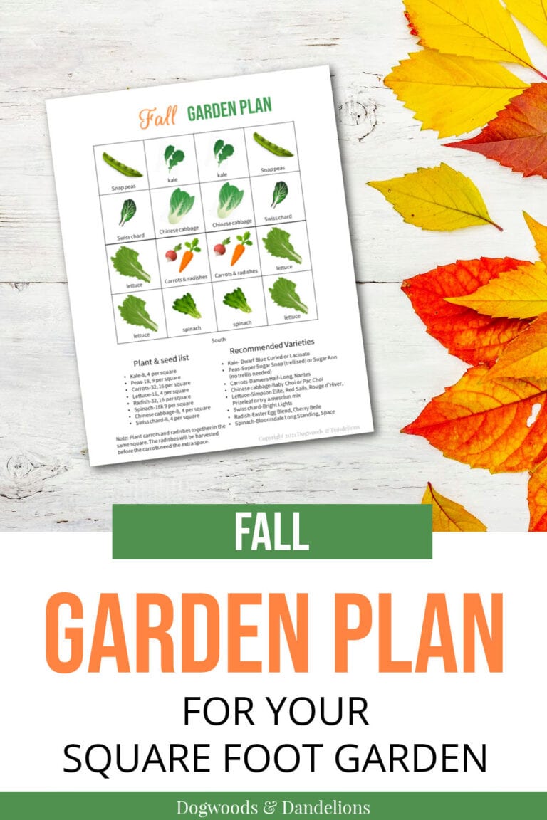 Fall Square Foot Garden Plan – Dogwoods & Dandelions
